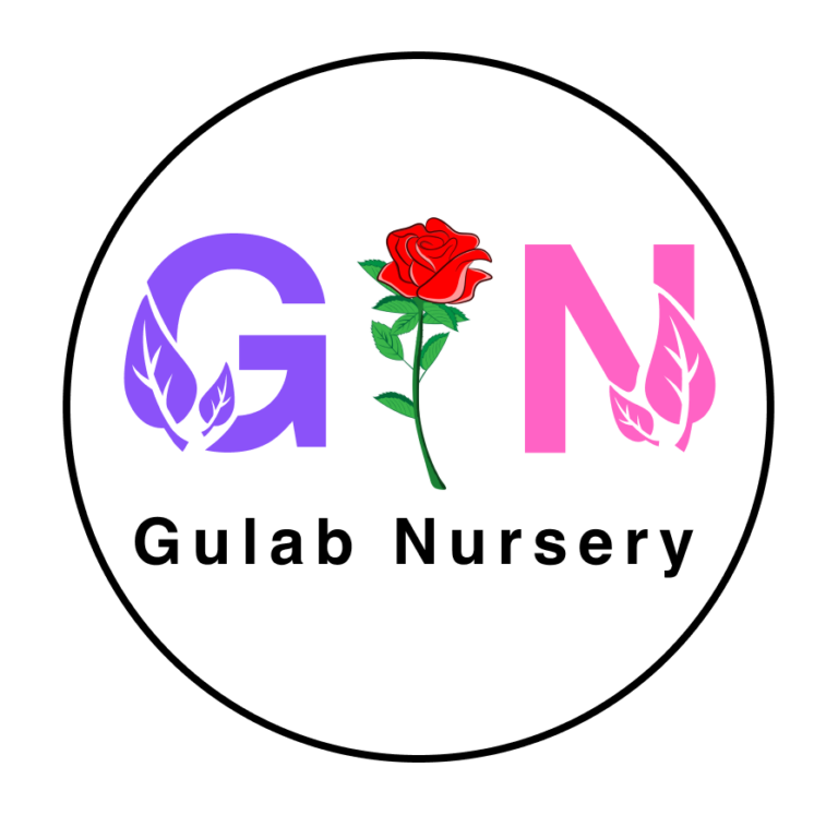 Gulab Nursery – Gulab Nursery